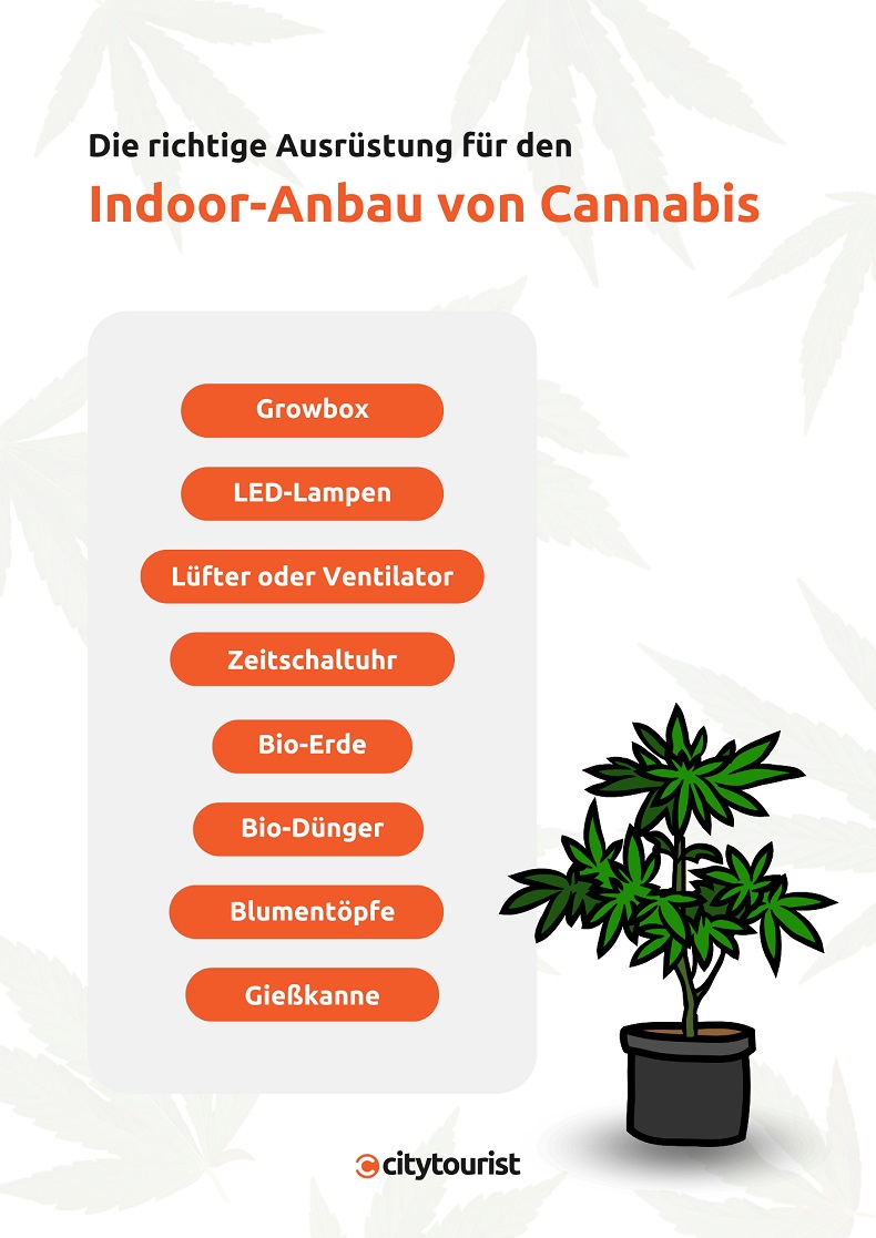 Cannabis Erde Im Baumarkt Der Ultimative Guide Fur Den Anbau Zu Hause